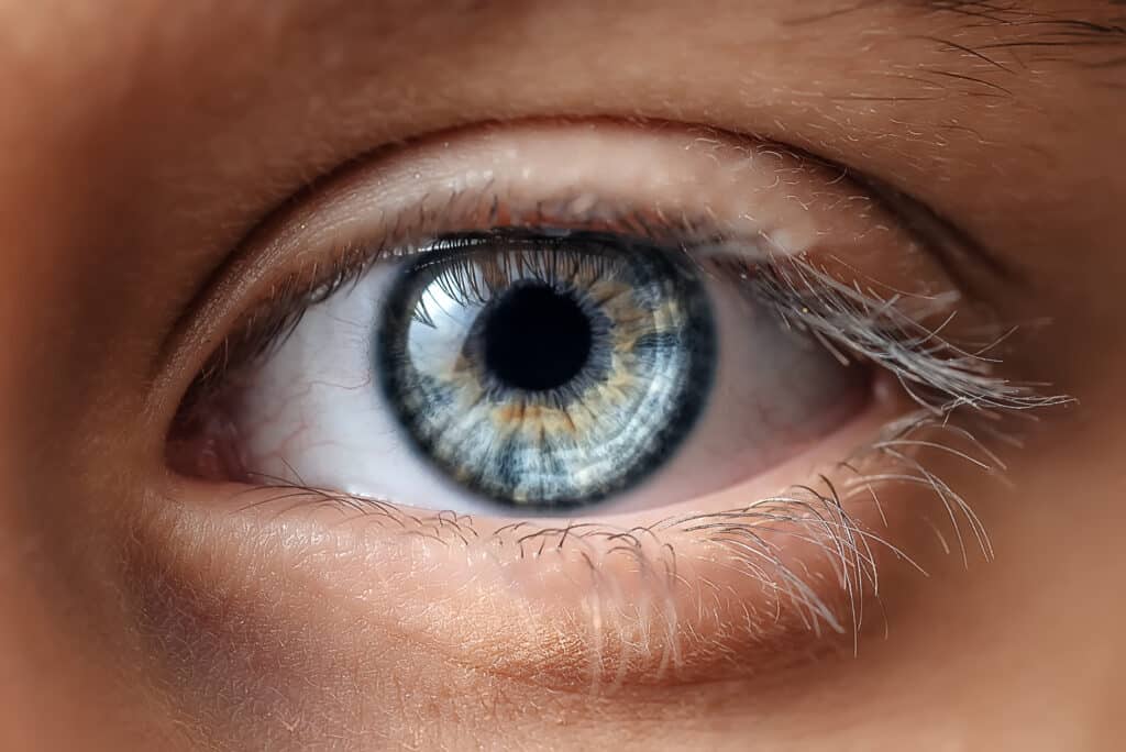 What is EVO ICL™, and How is it Different From LASIK? | Edmonton